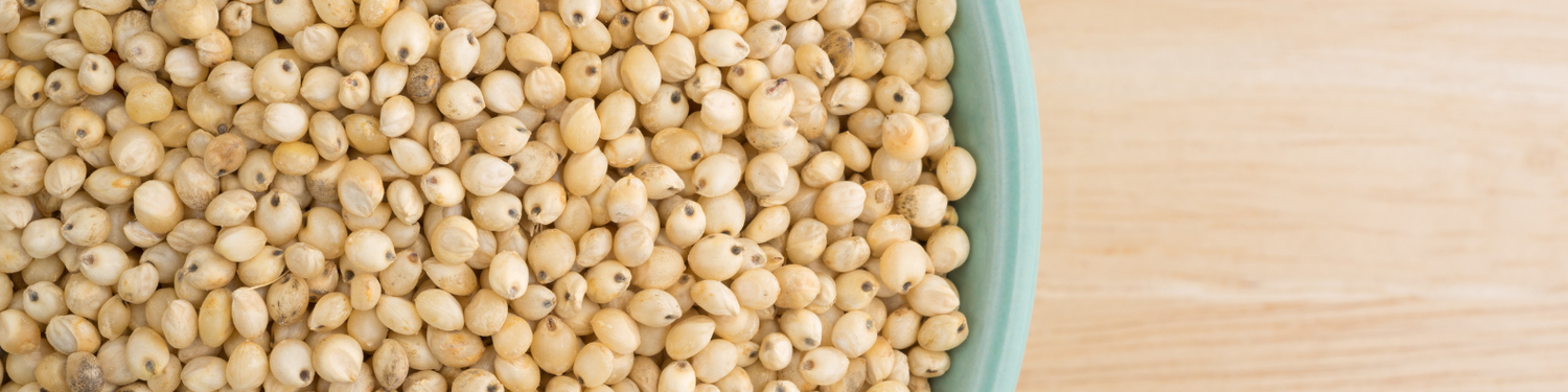 Comment cuisiner le sorgho et le millet ? – Vieille Graine